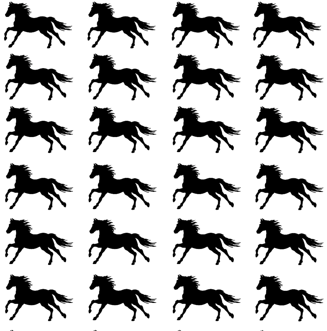 24 Equestrian Horse Vinyl Wall Decals, Horse Decals, Horse Wall Sticke