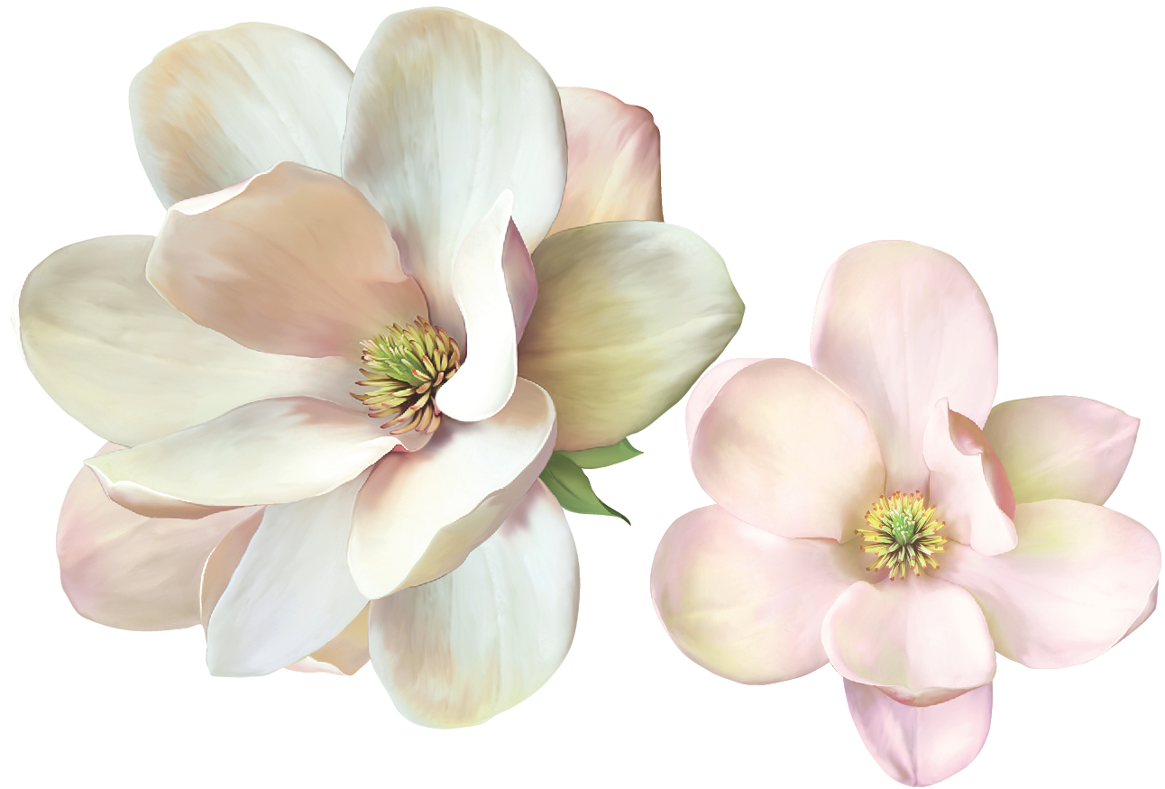 Large Magnolia Decals, Flower Wall Decals, Flower Wall Stickers, Eco ...