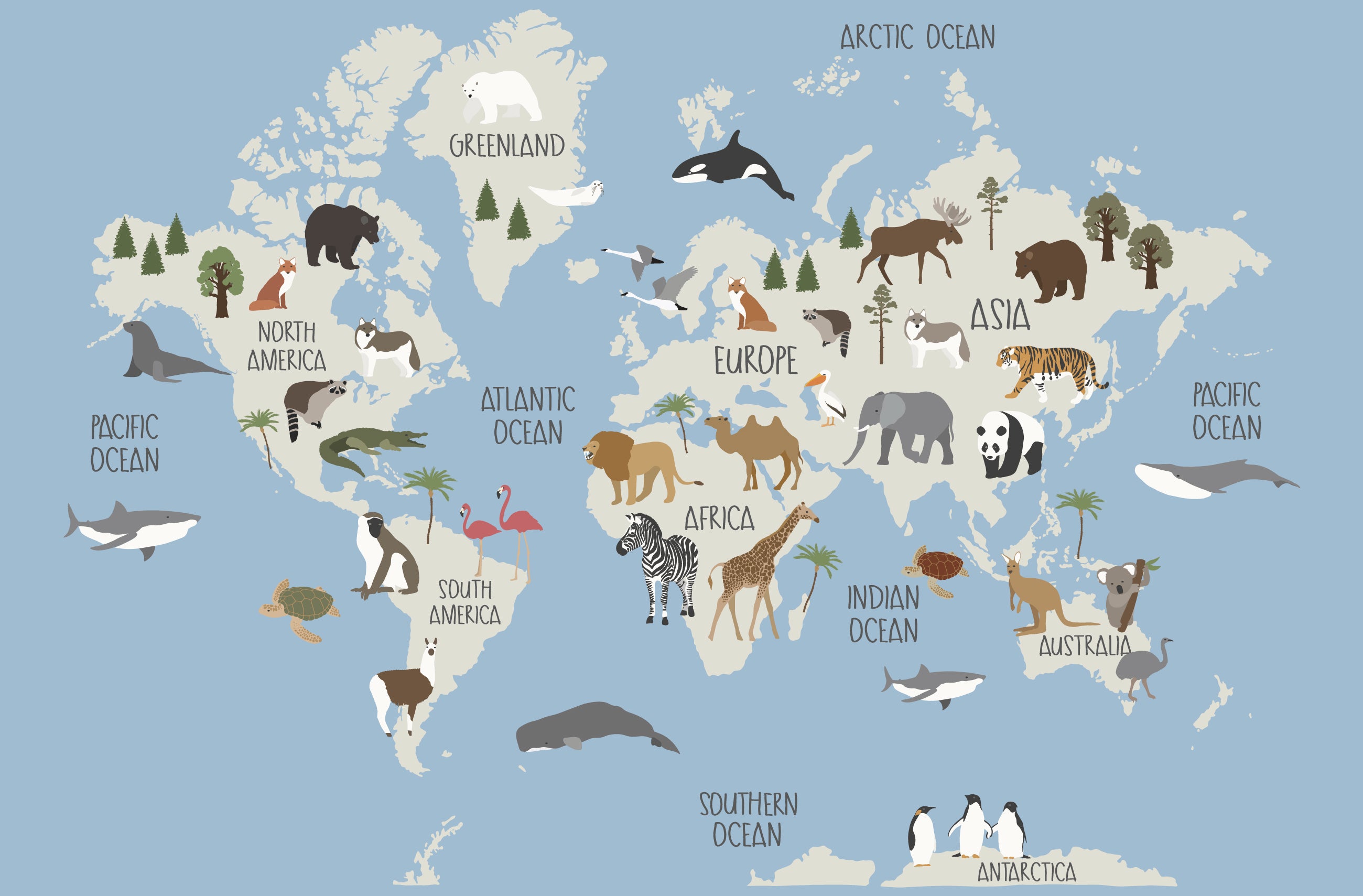 Animals of the World Map Wall Decal, Peel and Stick, Kids World Map Wa