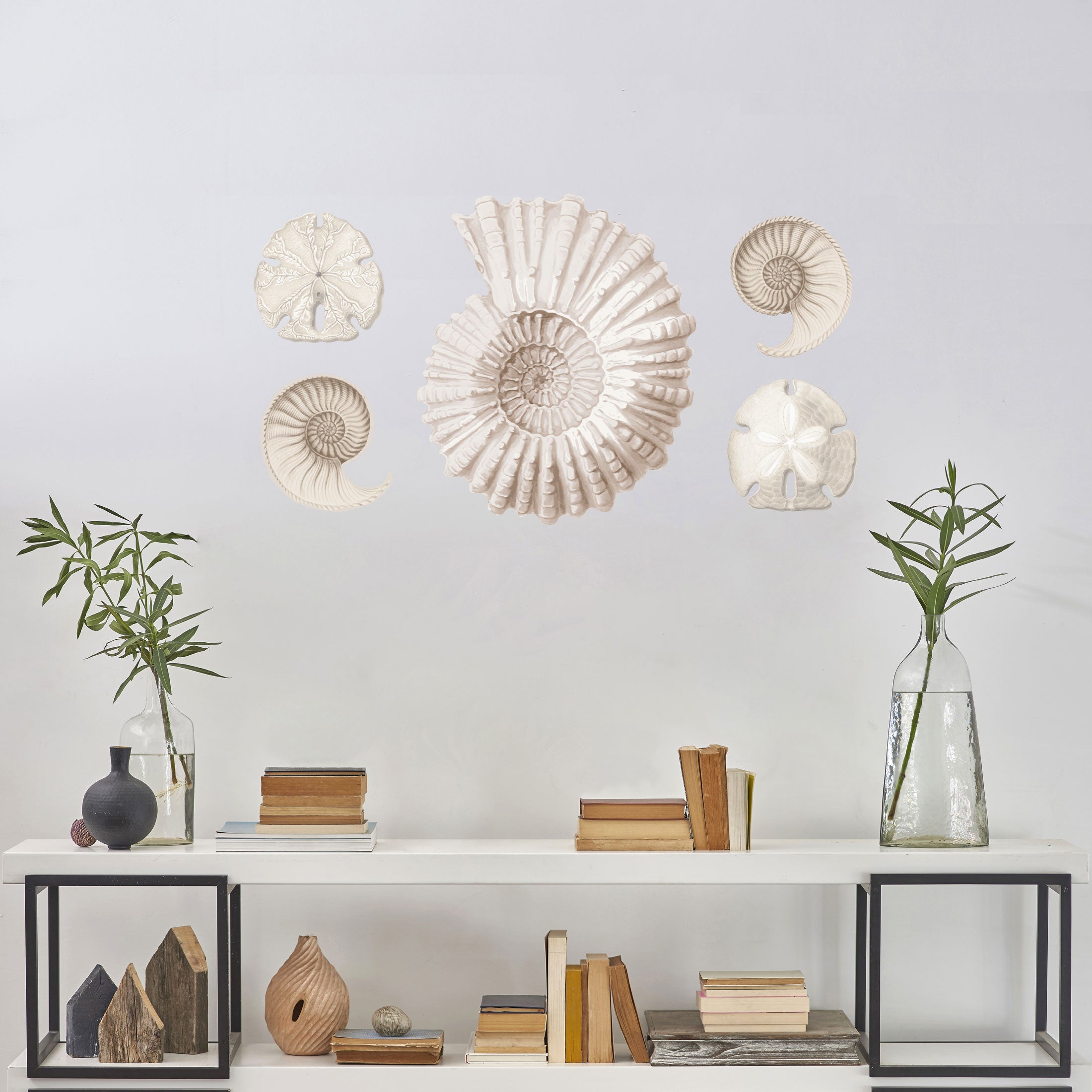 Large Seashell Wall Decals, Ocean Decals, Nautilus and Sand Dollar Dec